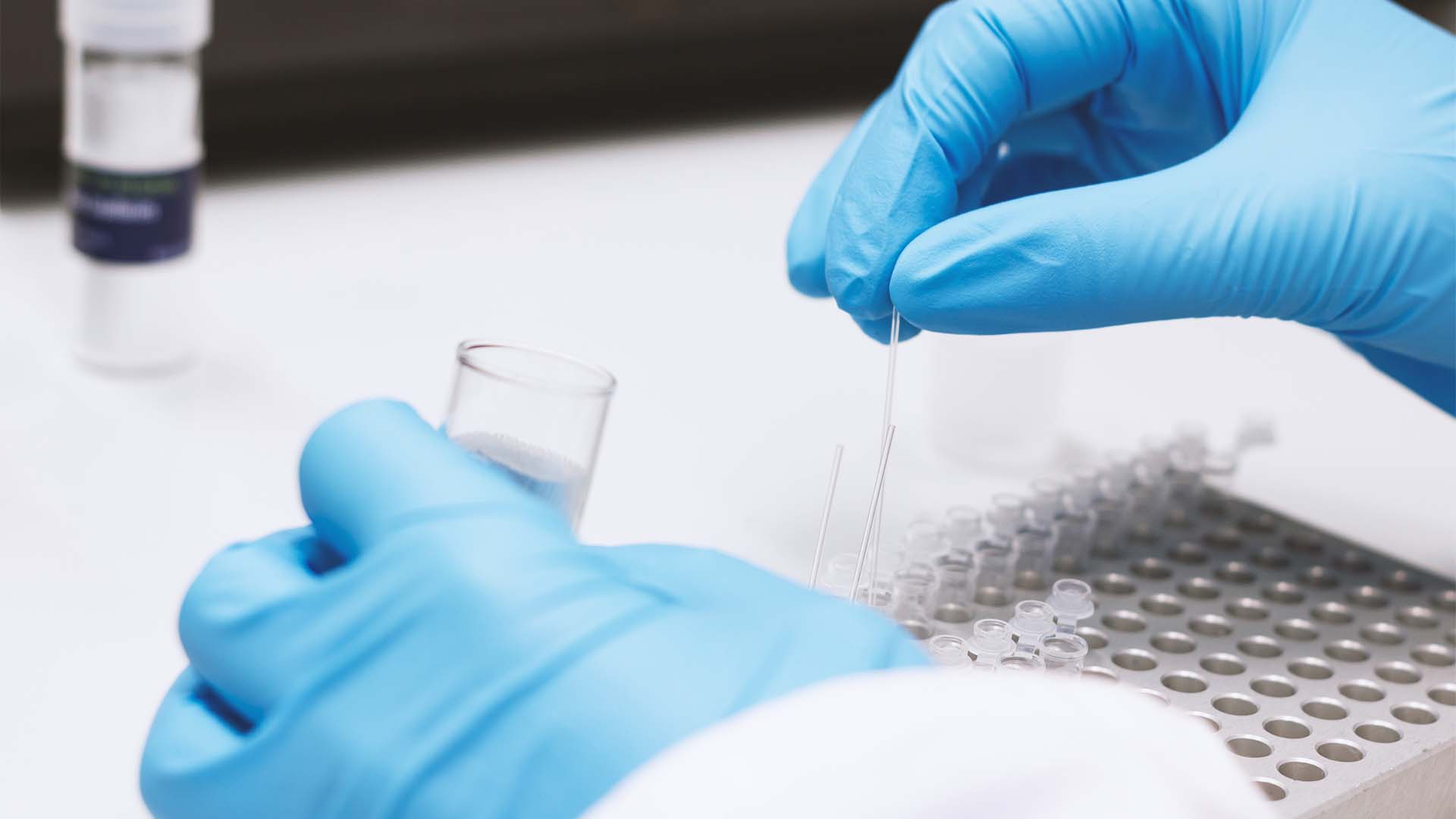 Aptamer Discovery Services | 2bind