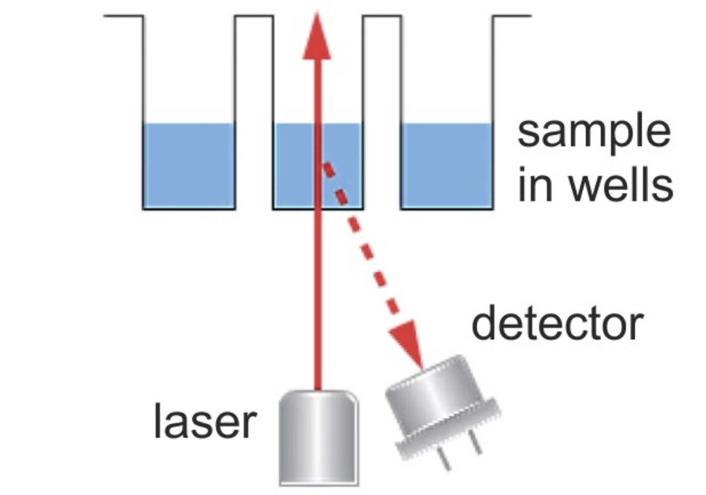 DLS (Dynamic Light Scattering) Services | 2bind