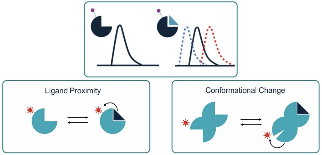 Spectral Shift Services | 2bind
